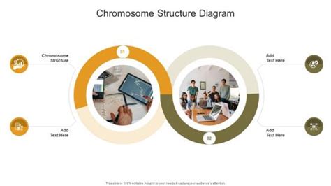 Chromosome Structure Diagram Powerpoint Templates Slides And Graphics