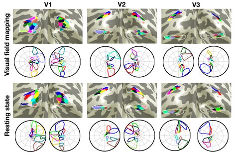 Synchronization Clusters Obtained From Vfm And Rs Consensus
