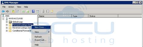 how to add a new dns zone and manage dns records for a domain hosted on