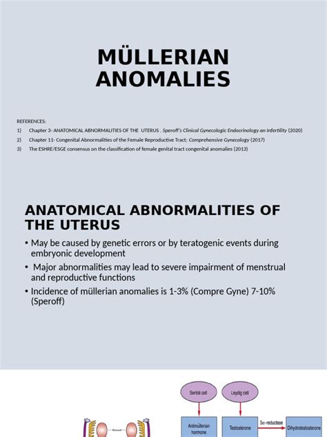 Mullerian Anomalies Pdf