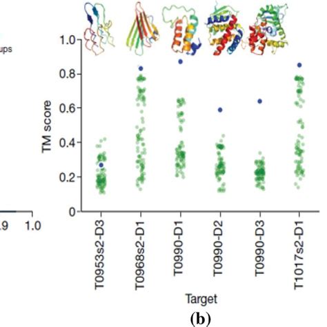 Performance Of The Alphafold In The Casp13 Evaluation A Number Of Fm