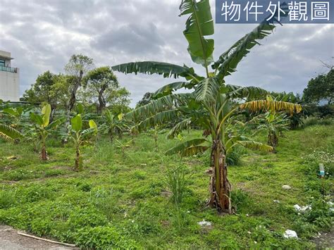 近志學車站都內小筆農地 花蓮縣壽豐鄉吳全段房屋 Yc0201004 有巢氏房屋