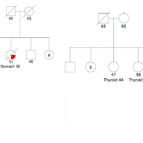 Flow Chart Representing Patient Inclusion And Subsequent Germline