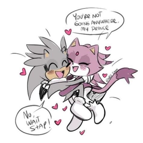 Silvaze Blaze X Silver Hug In 2023 Silver The Hedgehog