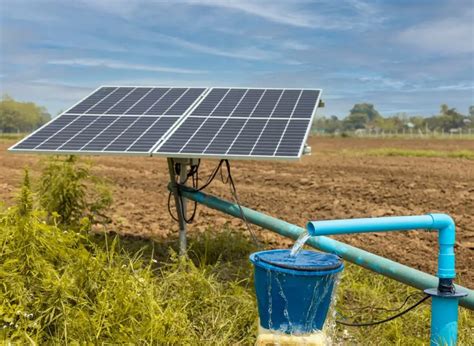 The Benefits Of Using A Solar Water Pump For Hydroponics Plants Heaven