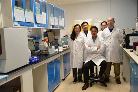 Engineered Peptide Successfully Exploits Achilles Heel Of Zika Virus