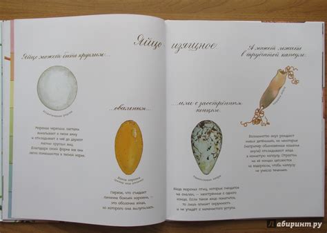 Книга: Яйцо любит тишину - Дианна Астон. Купить книгу, читать рецензии ...
