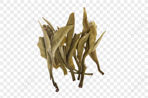 푸에르 차 Png 일러스트 무료 다운로드 Lovepik