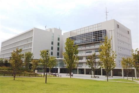 茅ケ崎市長選、佐藤光さんが再選 まちづくりや子育て支援の充実を訴え：東京新聞デジタル