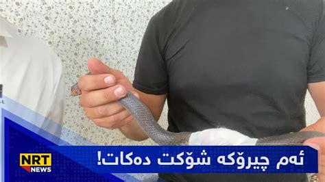 پیاوێك لە قەڵادزێ مارەكەی بردووە بۆ لای پزیشك و ئەشیعەی بۆ گرتووە و