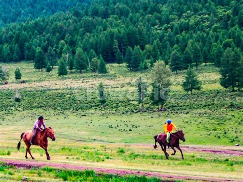 몽골관광여행 나담축제 말타기 승마 푸른초원 사진 이미지 일러스트 캘리그라피 파랑작가