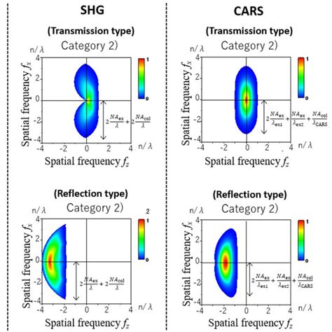 Classification Of Light Matter Interactions Only The Download Scientific Diagram