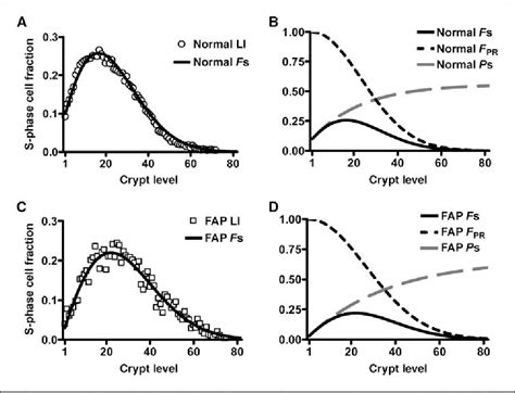 Figure 1 From How Dysregulated Colonic Crypt Dynamics Cause Stem Cell