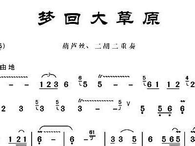 梦回大草原 葫芦丝 二胡 二胡谱 葫芦丝谱 简谱