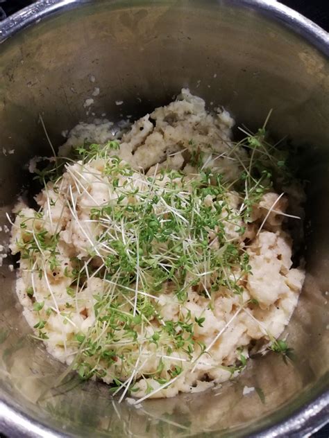 Parsnip Mash Johans Kitchen