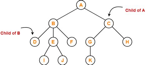 Degree Of Node In Tree Gate Vidyalay