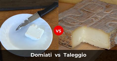 Domiati Cheese Vs Taleggio Cheese Whats The Difference Taste