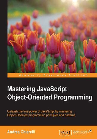 Mastering JavaScript Object Oriented Programming Advanced Patterns
