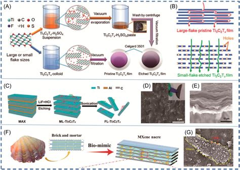 A Schematic Illustrations Of The Etching Process Of Ti3c2tx Download Scientific Diagram