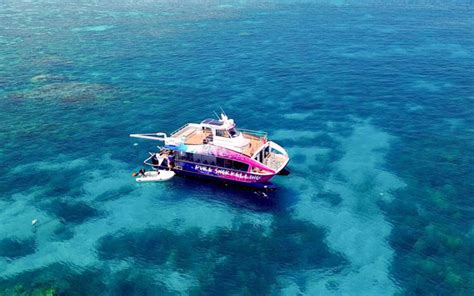 New Great Barrier Reef Boat Launches In Cairns Ttg Asia