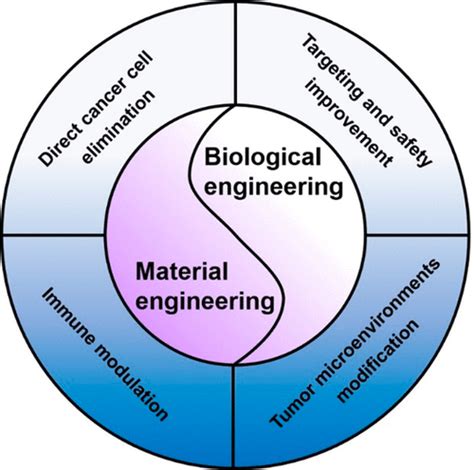 Engineering Living Bacteria For Cancer Therapy Acs Applied Bio Materials
