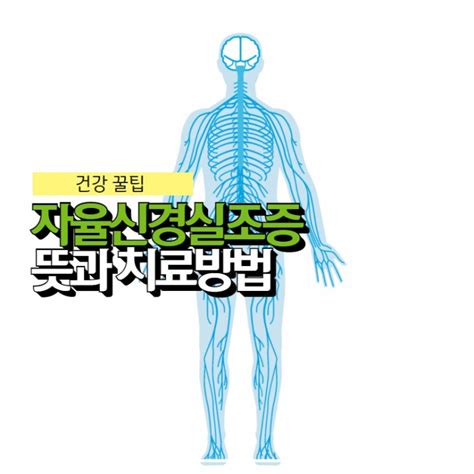 더위먹은증상 자율신경자율신경실조증자율신경계이상 증상and치료법 네이버 블로그
