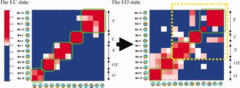 Illustrative Functional Connectivity Correlation Matrices From The Ec