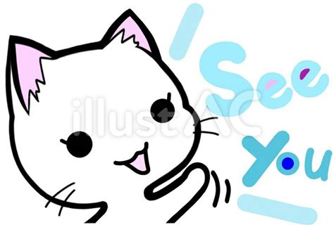 I See You Cat