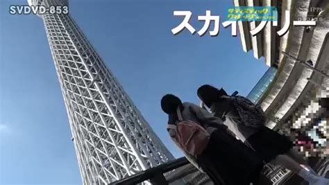 1svdvd00853 マジックミラー号ハードボイルド 旅費と賞金10万円を賭けたゲームを餌にステイホームで卒業式も修学旅行も無くてぴえんな
