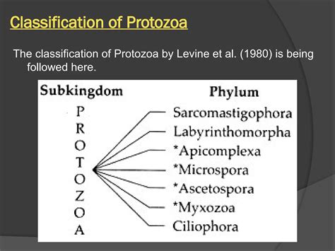 Protozoa Types And Classification Pptx Pptx