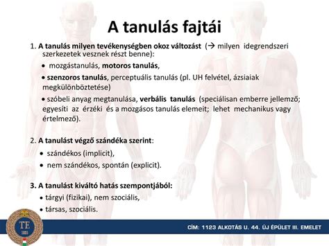 Dr Kopper Bence Hegedüs Ádám ppt letölteni