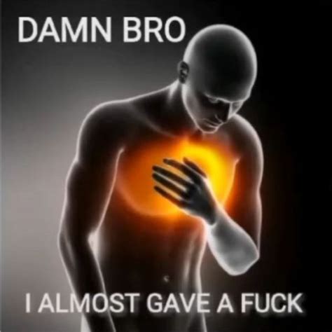 Damn Bro I Almost Gave Funny Facts Funny Quotes Really Funny