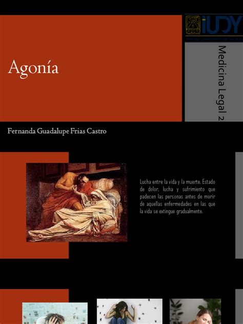 Agonia Y Muerte Pdf Muerte Cerebro