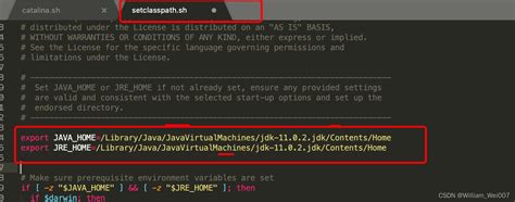 mac系统 tomcat部署war包指定jdk版本步骤 tomcat启动war包 mac csdn博客