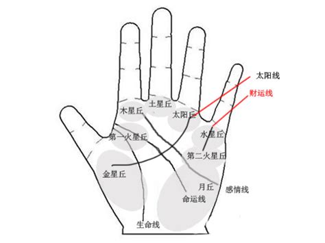怎么从手相看财运 76星座网
