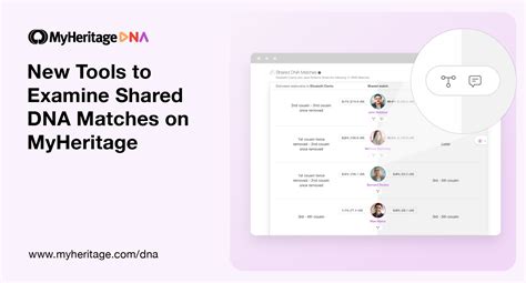 New Tools To Examine Shared Dna Matches On Myheritage Myheritage Blog