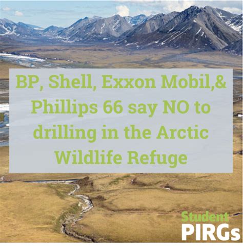 Protect‌ ‌the‌ ‌arctic‌ ‌national‌ ‌wildlife‌ ‌refuge‌ ‌from‌ ‌oil