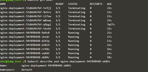 update an existing deployment in kubernetes need review kodekloud