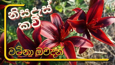 වටිනා ඔවදන් නිඳහසේ අසන් නිසඳැස් කවි Sinhala Nisadas Youtube