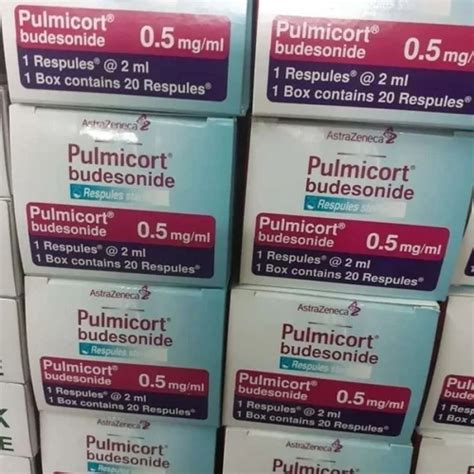 Pulmicort Nebulizer