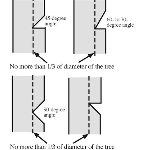 How To Cut A Tree Notch At Lucinda Nicoll Blog