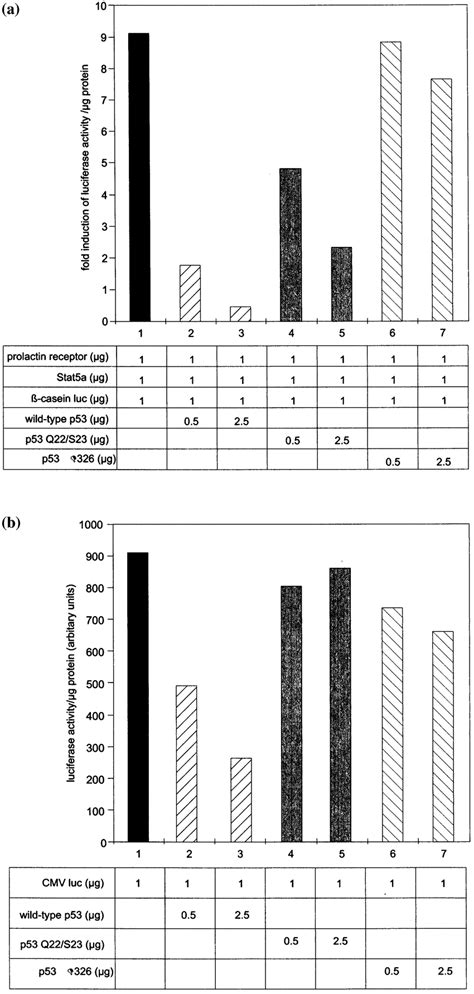 The Carboxyl Terminal Oligomerization Domain But Not The Download