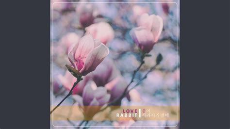 봄이 사라지기 전에 Youtube