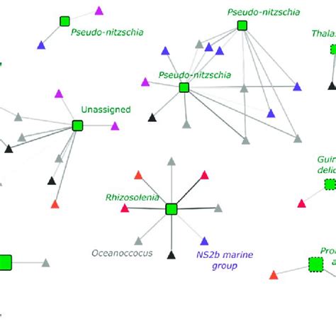 Co Occurrence Networks Subset Of Diatoms And Bacteria Correlations Are