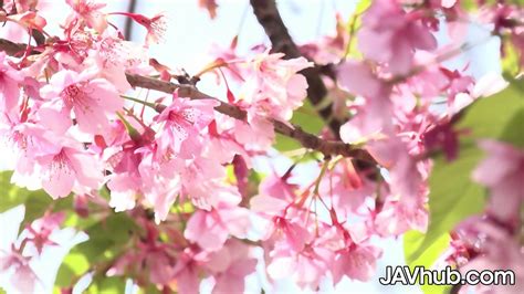 Javhub Mira Hasegawa Wants To Cheer Up Her Friend Eporner