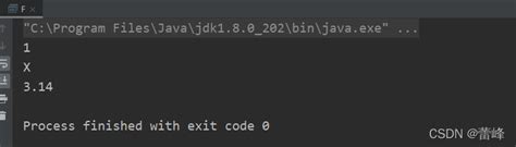 Java类型转换及变量详解蕾峰的博客 Csdn博客