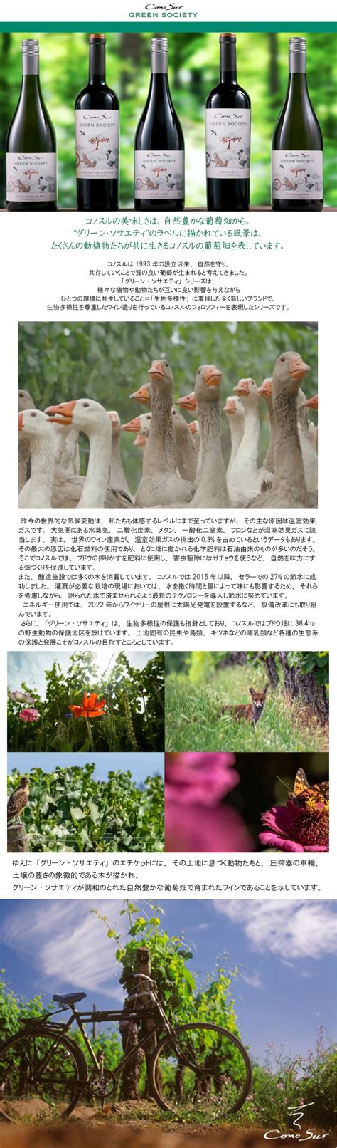 【楽天市場】コノスル グリーンソサエティ カベルネ ソービニヨン 750ml 赤ワイン チリ 一部地域送料無料 1本 2本 3本 4本 6本