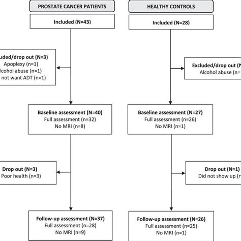 Study Flow Diagram ADT Androgen Deprivation Therapy N Number MRI Download Scientific Diagram