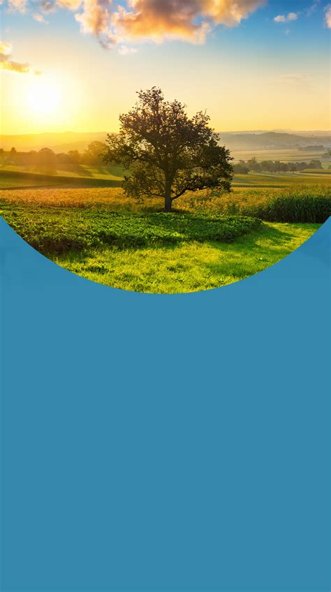 Circular Bioeconomy — Beam Circular