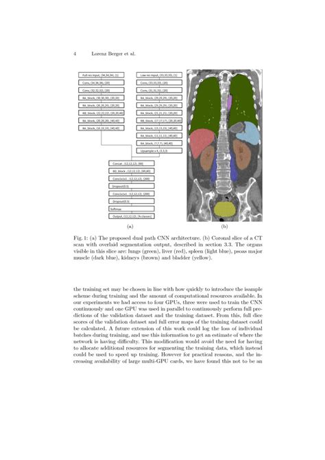 An Adaptive Sampling Scheme To Efficiently Train Fully Convolutional